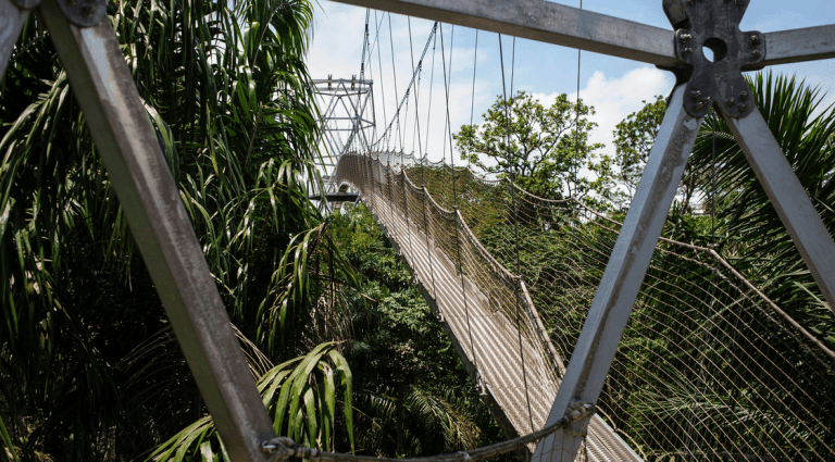 Explore Lagos: Fun Activities To Do At Lekki Conservation Centre ...