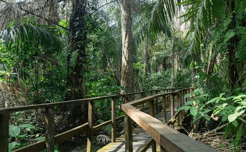 Top Recreational Spots in Lagos for Unforgettable Experiences - SabiAbuja