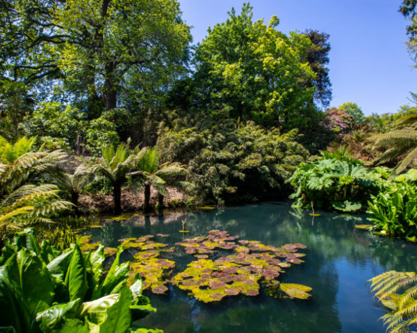 Top 10 Things to Do in Cornwall: A Guide for Travelers - SabiAbuja