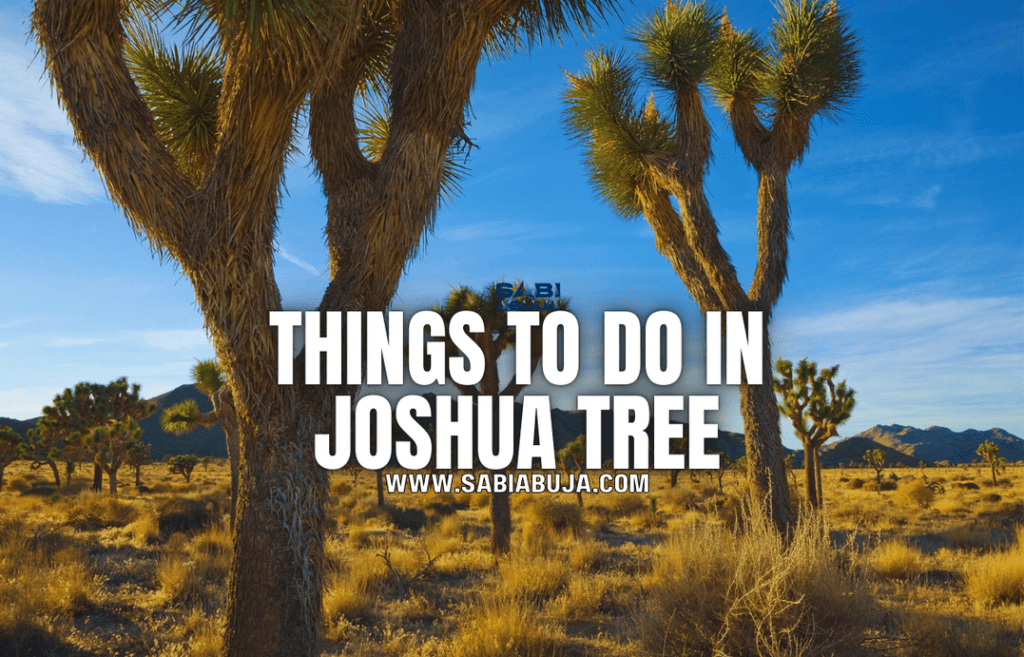 Exploring Joshua Tree: Best Hikes, Hidden Gems & More - SabiAbuja