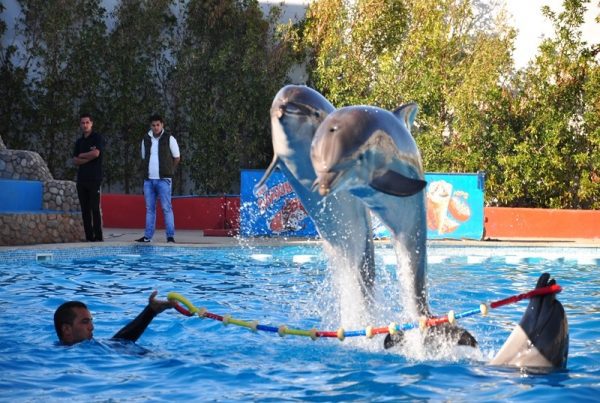 Explore Sharm El Sheikh, Egypt: 10 Activities You Can't Miss - SabiAbuja