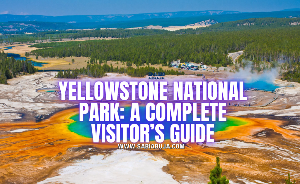 Yellowstone National Park: A Complete Visitor’s Guide - SabiAbuja