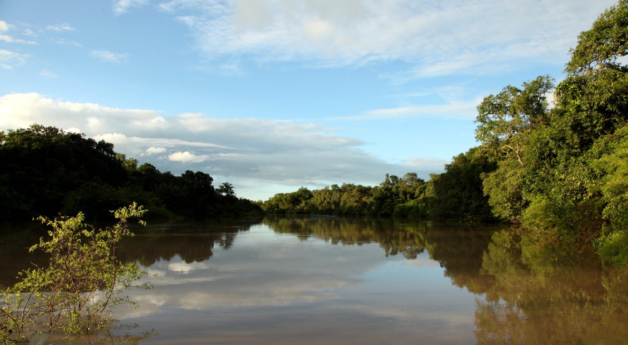 Full List of National Parks in Nigeria - SabiAbuja