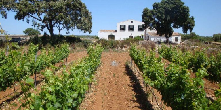 Top 10 Things to Do in Menorca: A Mediterranean Getaway - SabiAbuja