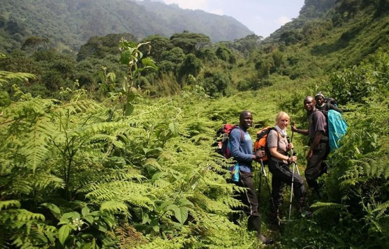 Agbokim Waterfalls: A Natural Wonder in Cross River State - SabiAbuja