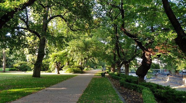 Things to Do in Bendigo, Australia - SabiAbuja