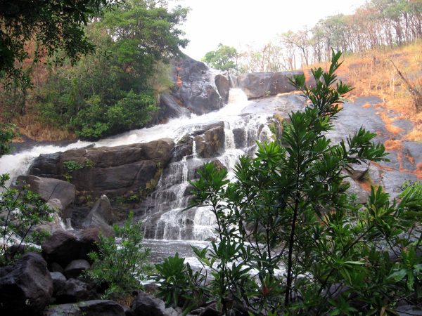 Ultimate Guide to Wayanad: What to See and Do - SabiAbuja