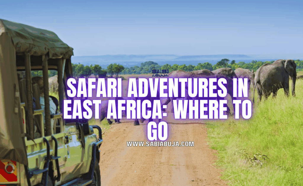 Safari Adventures in East Africa: Where to Go - SabiAbuja