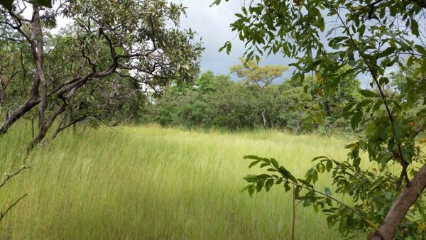 Top 10 Tourist Attractions in Côte d’Ivoire - SabiAbuja