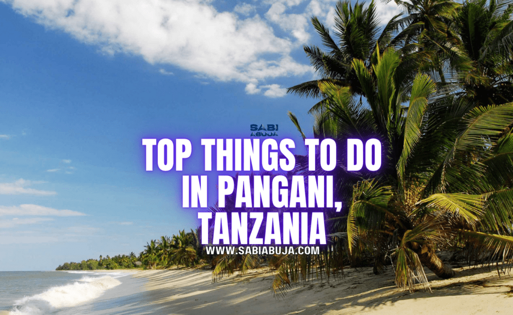 Top Things to Do in Pangani, Tanzania - SabiAbuja